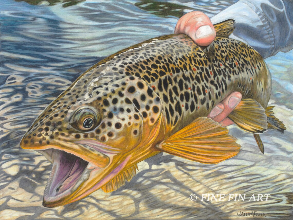 Trout Pose 18x 24 Limited Edition Fine Art Print - Etsy