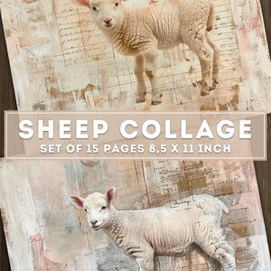 Sheep Collage, Animal Print, Mixed Media Pages, Junk Journal Ephemera ...