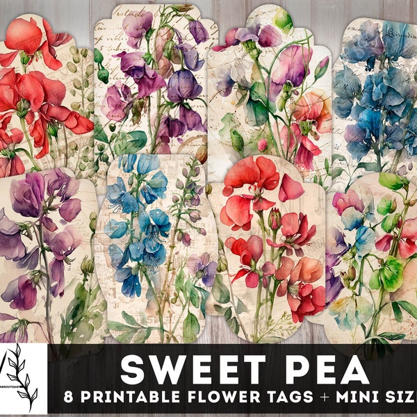Sweet Pea Flowers - Etsy