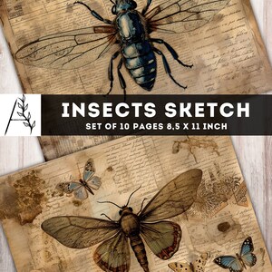 Insects Sketch Junk Journal Paper, Vintage Insects Paper, 10 JPG ...