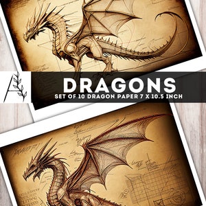 Dragons Paper 12x18, Dragons Paper 7 X 10.5, Dragons Cards 2.57 X 3.5 ...