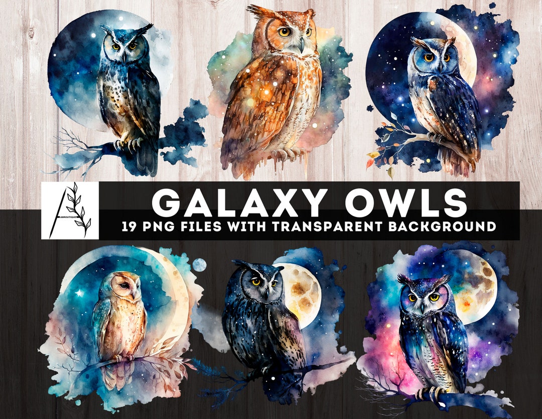 Watercolor Galaxy Owls Clipart, 19 PNG Celestial Owl Bundle, Magic Junk ...