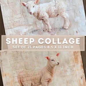 Sheep Collage, Animal Print, Mixed Media Pages, Junk Journal Ephemera ...