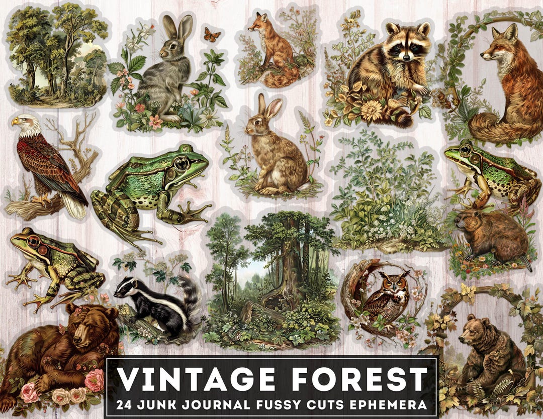 Woodland Animals Clipart - 24 PNG Clipart Bundle + JPG Ephemera ...