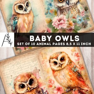 Baby Owls Junk Journal Kit, Vintage Owl Paper, Digital Journaling Pages ...