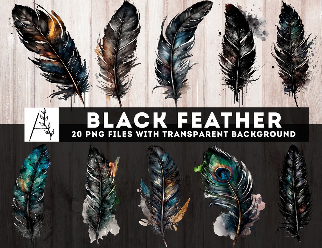 Mystical Feather Clipart, 20 PNG Watercolor Feather Printables, Junk ...