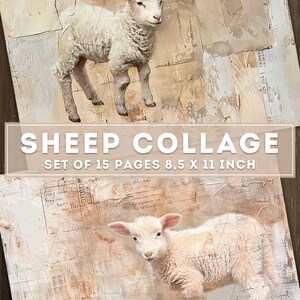 Sheep Collage, Animal Print, Mixed Media Pages, Junk Journal Ephemera ...