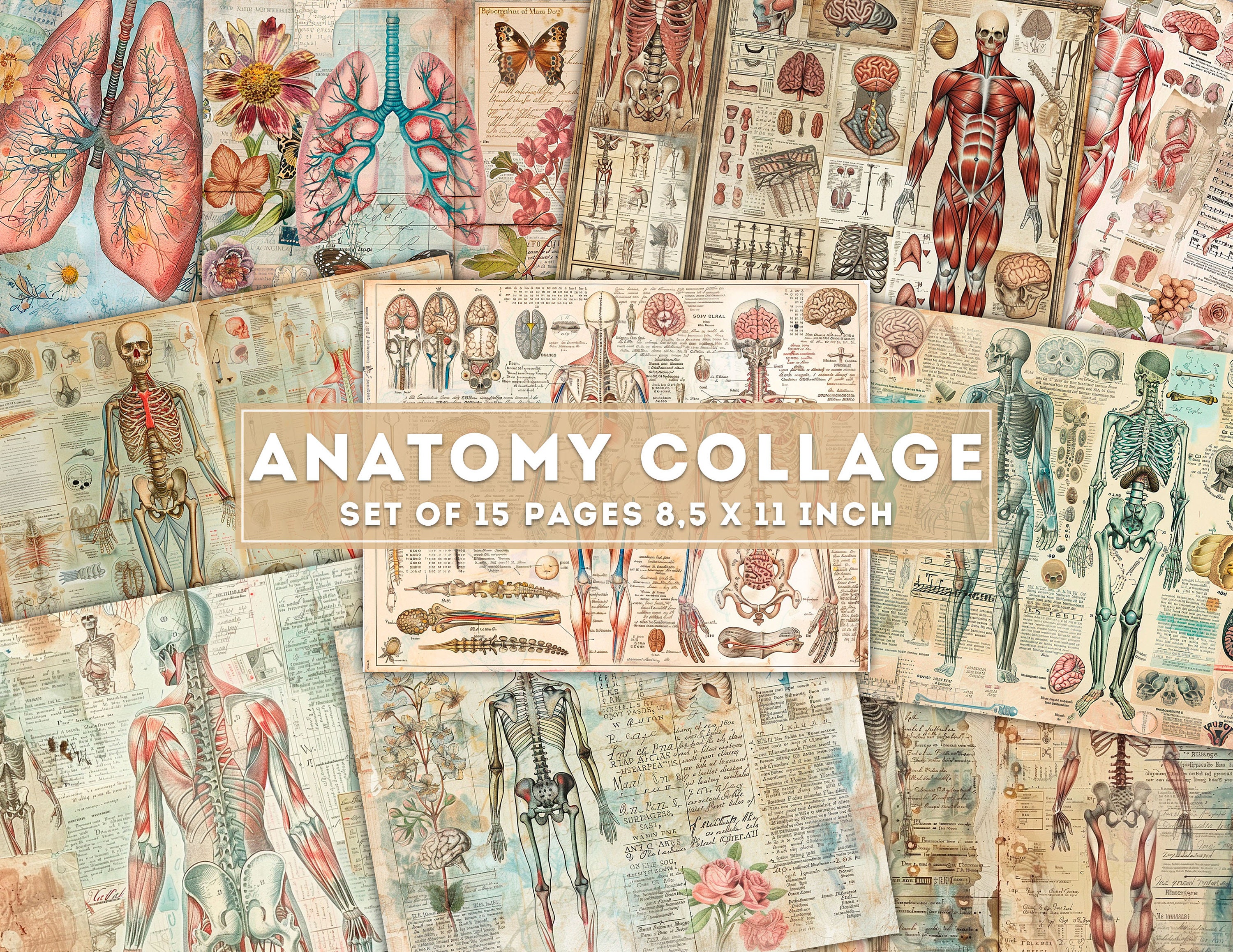 Anatomy Collage, Junk Journal, Vintage Medical Art, Vintage Medical ...