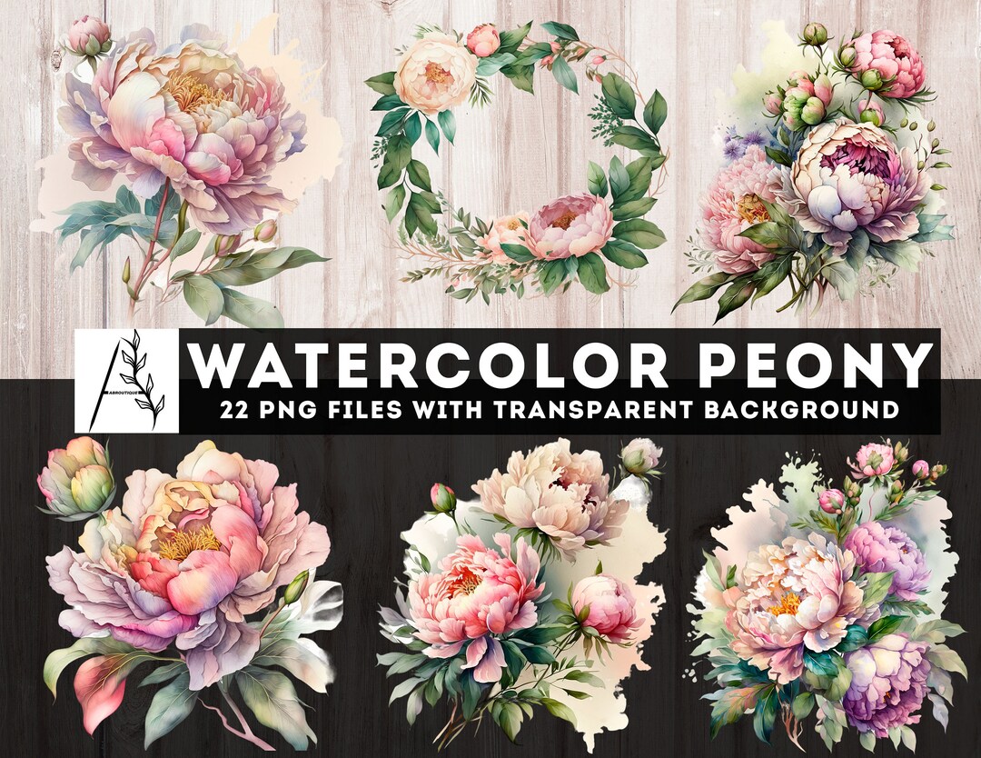Watercolor Peony 22 PNG Clipart Spring Garden Floral Bundle - Etsy