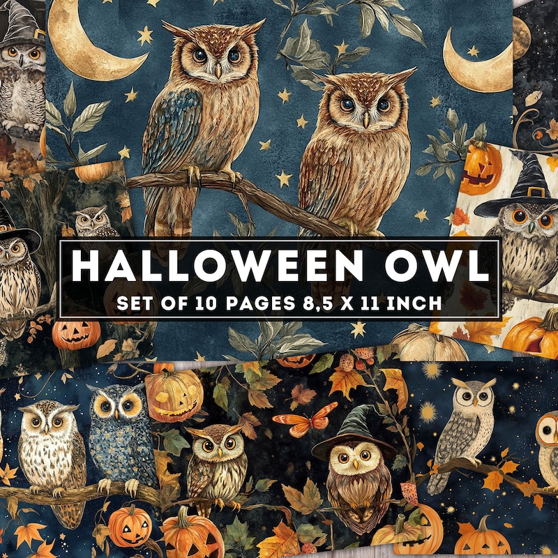 Halloween Owl Card - Etsy