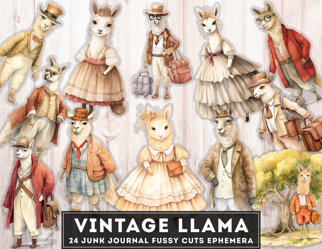 Vintage Llama Ephemera, Llama Fussy Cuts, 24 PNG Llama in Clothes ...