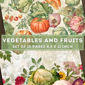 Vegetables and Fruits Collage Paper, Junk Journal Kit, Colorful Paper ...
