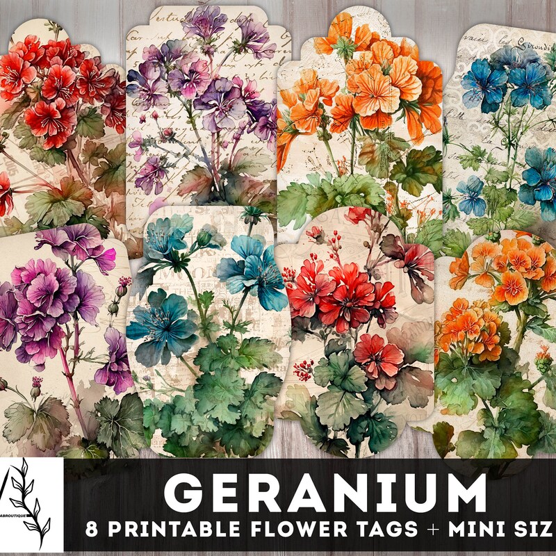 Geranium Seeds - Etsy