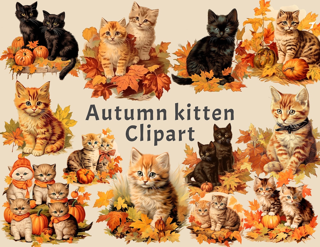 Autumn Cats Clipart, 12 PNG Kitten Digital Bundle, Baby Cat With Dry ...