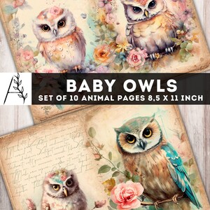 Baby Owls Junk Journal Kit, Vintage Owl Paper, Digital Journaling Pages ...