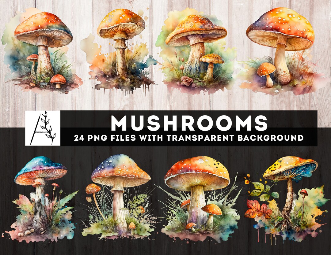 Watercolor Mushrooms Clipart 24 PNG Fungus Bundle Junk - Etsy