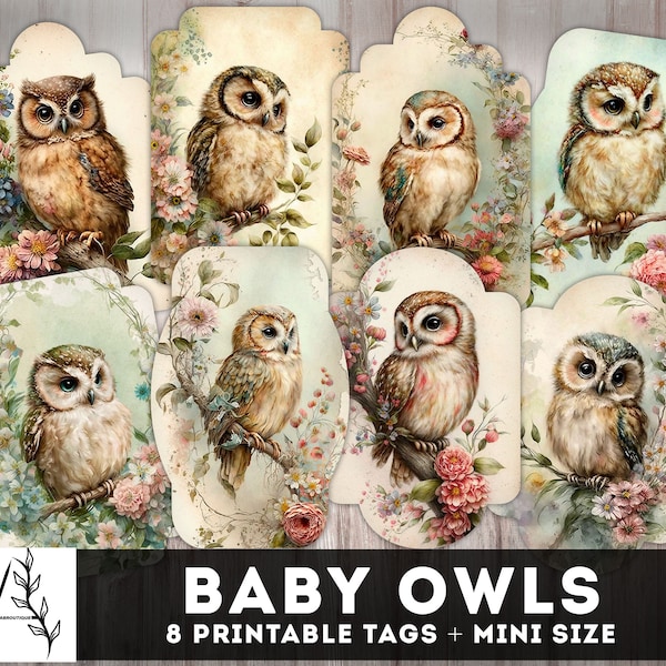 Baby Owl - Etsy