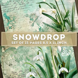 Snowdrop Collage, Junk Journal Kit, Colorful Vintage Flowers Paper ...