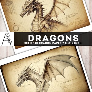 Dragons Paper 12x18, Dragons Paper 7 X 10.5, Dragons Cards 2.57 X 3.5 ...