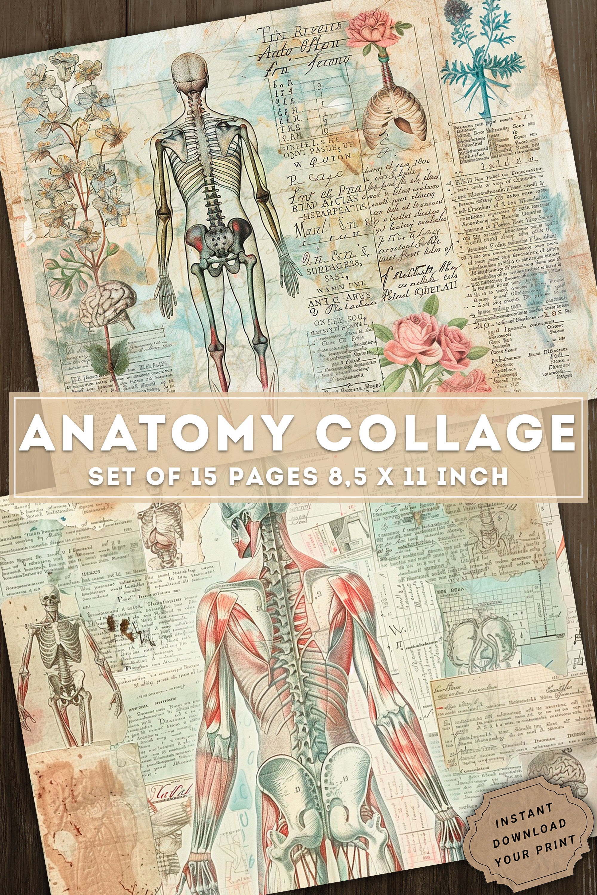 Anatomy Collage, Junk Journal, Vintage Medical Art, Vintage Medical ...