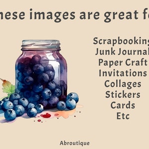 Watercolor Blueberry 22 PNG Clipart, Berry Bundle, Food Junk Journal ...