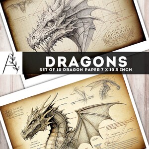 Dragons Paper 12x18, Dragons Paper 7 X 10.5, Dragons Cards 2.57 X 3.5 ...