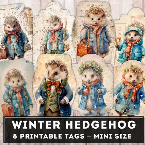 Hedgehog Journal - Etsy