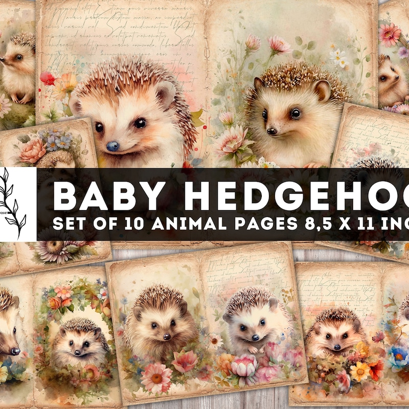 Hedgehog Journal - Etsy