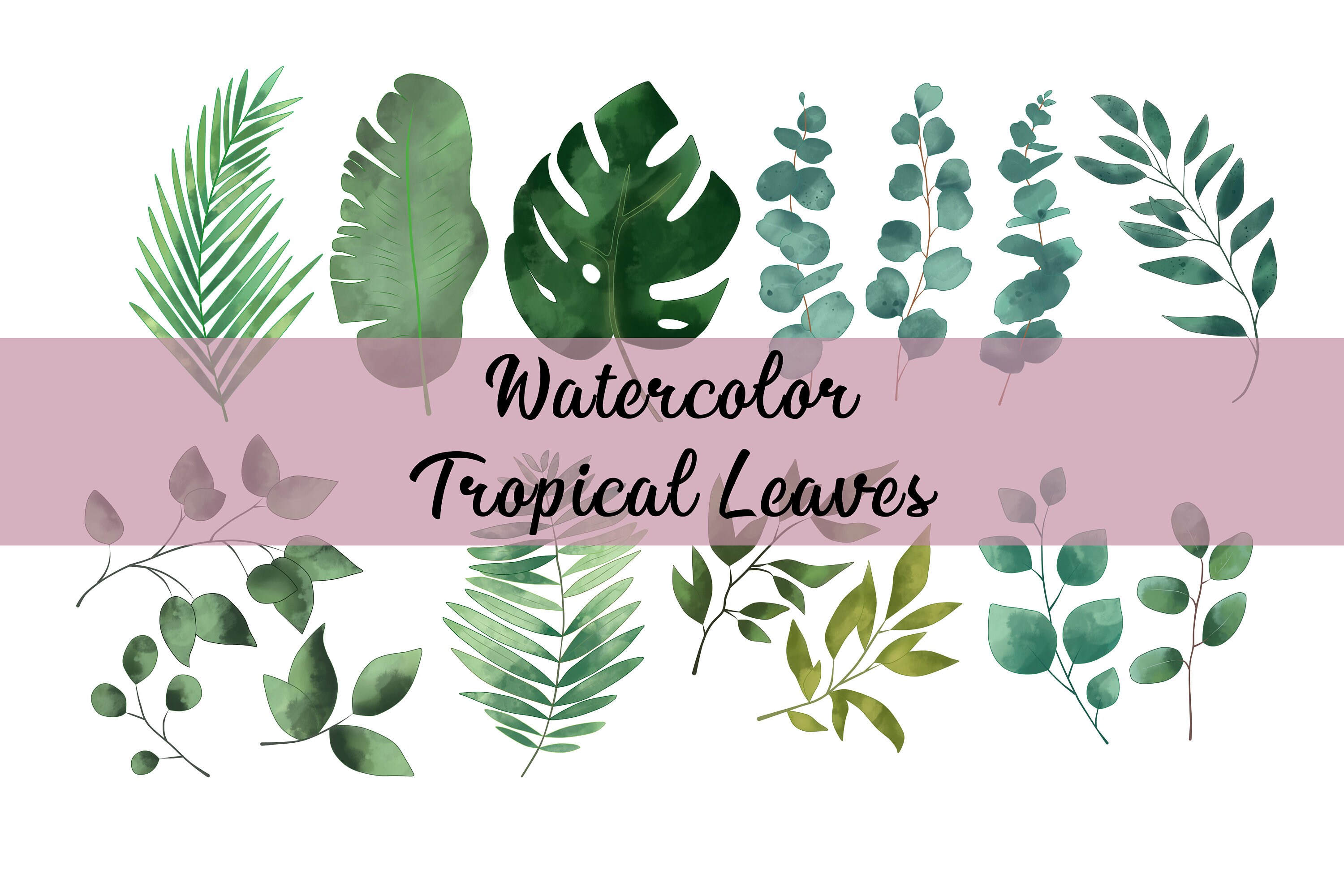 Watercolor Tropical Leaves Palm Tree and Monstera Leaf Clipart | Etsy