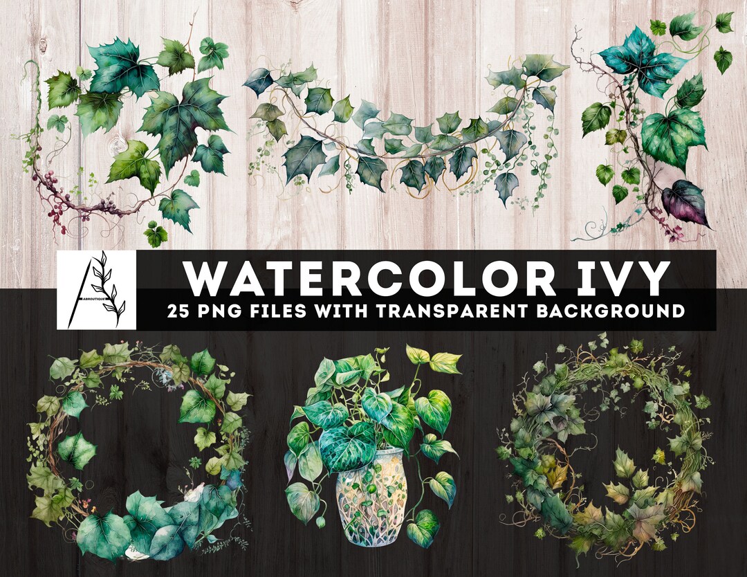Watercolor Ivy 25 PNG Clipart, Spring Garden Bundle, Junk Journal ...