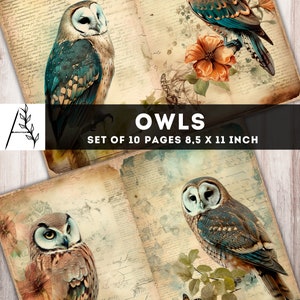 Owl Junk Journal Kit, Vintage Owls Paper, Digital Journaling Pages ...