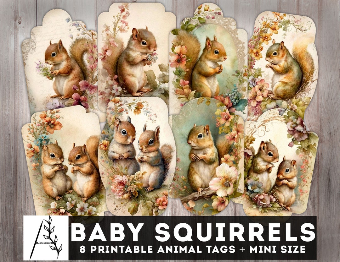 Baby Squirrels Junk Journal Tags, Vintage Squirrels Tag, Digital ...