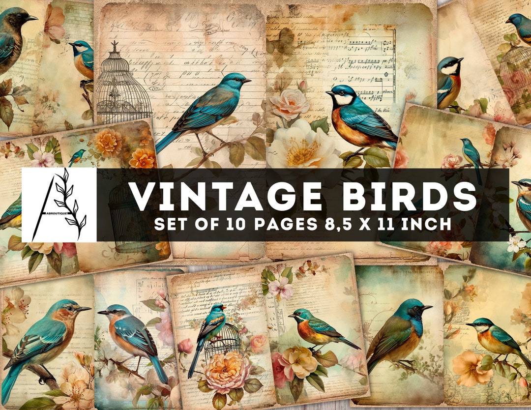 Vintage Garden Birds Junk Journal Kit Shabby Chic Paper 10 - Etsy