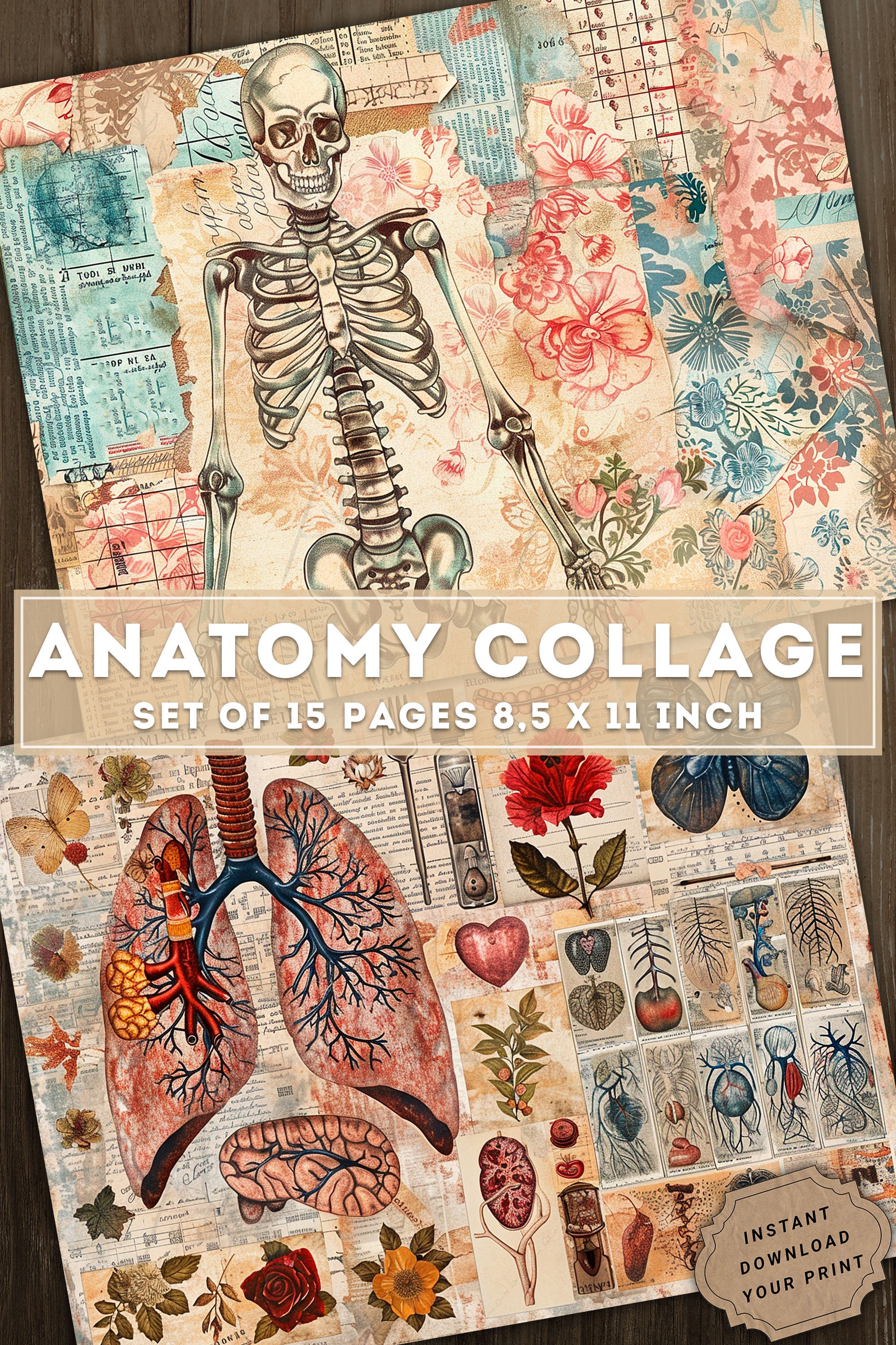 Anatomy Collage, Junk Journal, Vintage Medical Art, Vintage Medical ...