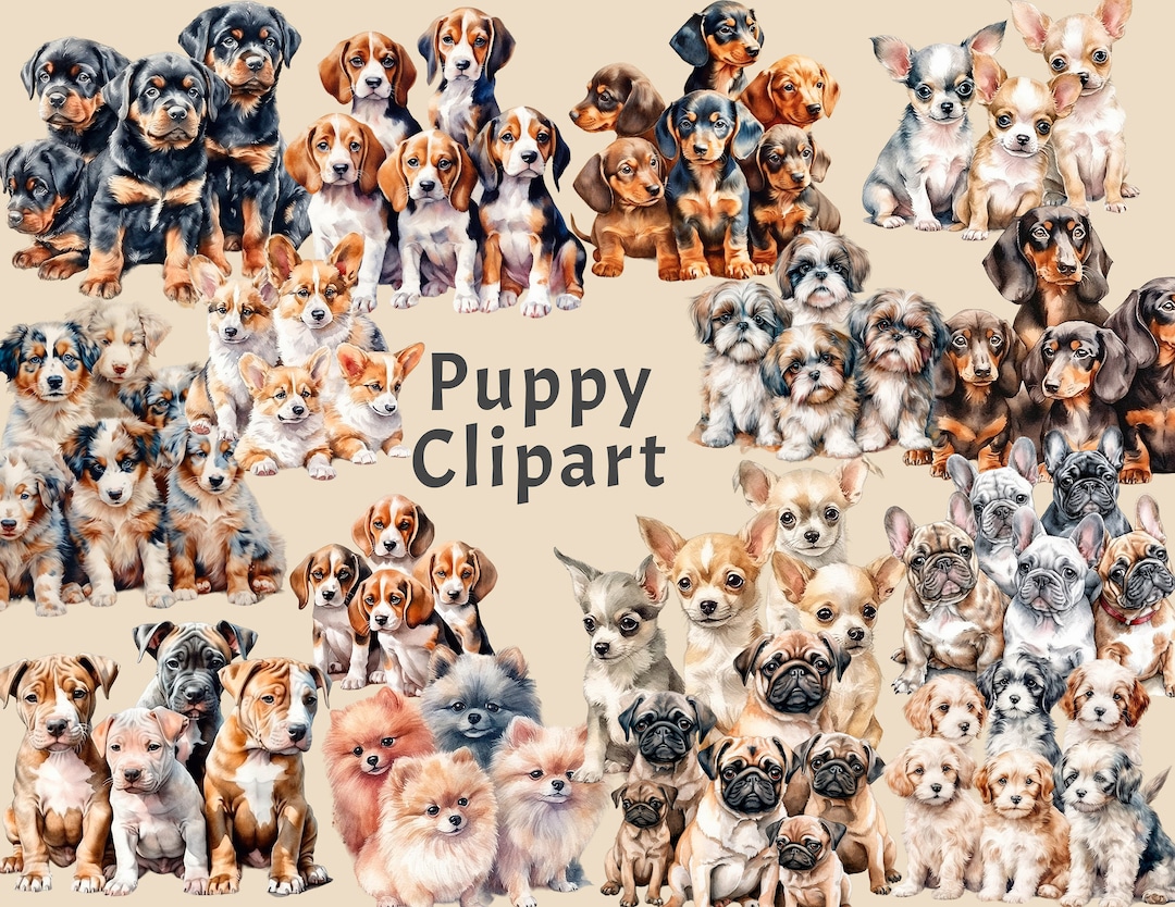 Puppies 20 PNG Clipart, Watercolor Baby Dog Bundle, Dogs Junk Journal ...