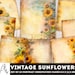 Vintage Sunflowers Digital Paper Pack for Scrapbook and Junk - Etsy