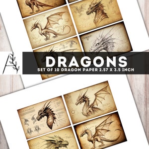 Dragons Paper 12x18, Dragons Paper 7 X 10.5, Dragons Cards 2.57 X 3.5 ...