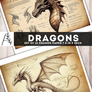 Dragons Paper 12x18, Dragons Paper 7 X 10.5, Dragons Cards 2.57 X 3.5 ...