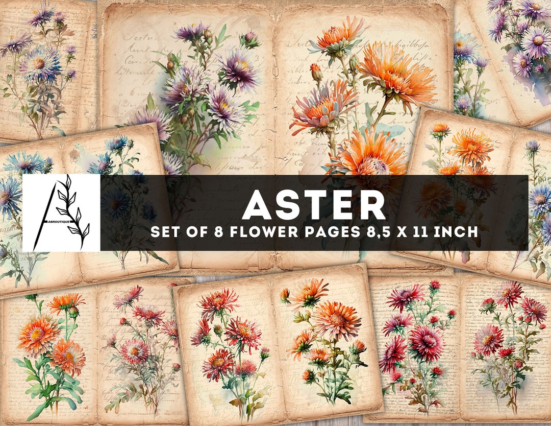 Aster Flower Junk Journal Kit, Vintage Aster Print, Floral Digital ...