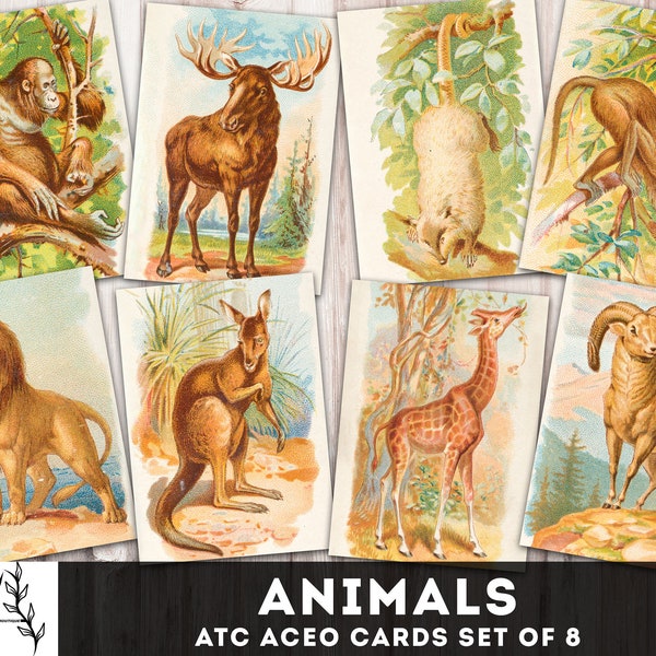 Exotic Animals - Etsy