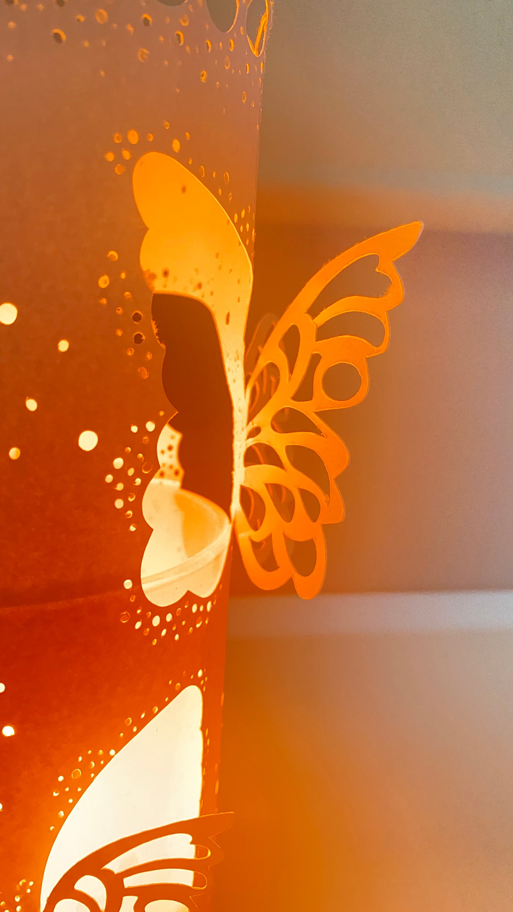 SVG Butterfly Lantern and Box Cut Files Luminary Lamp SVG - Etsy