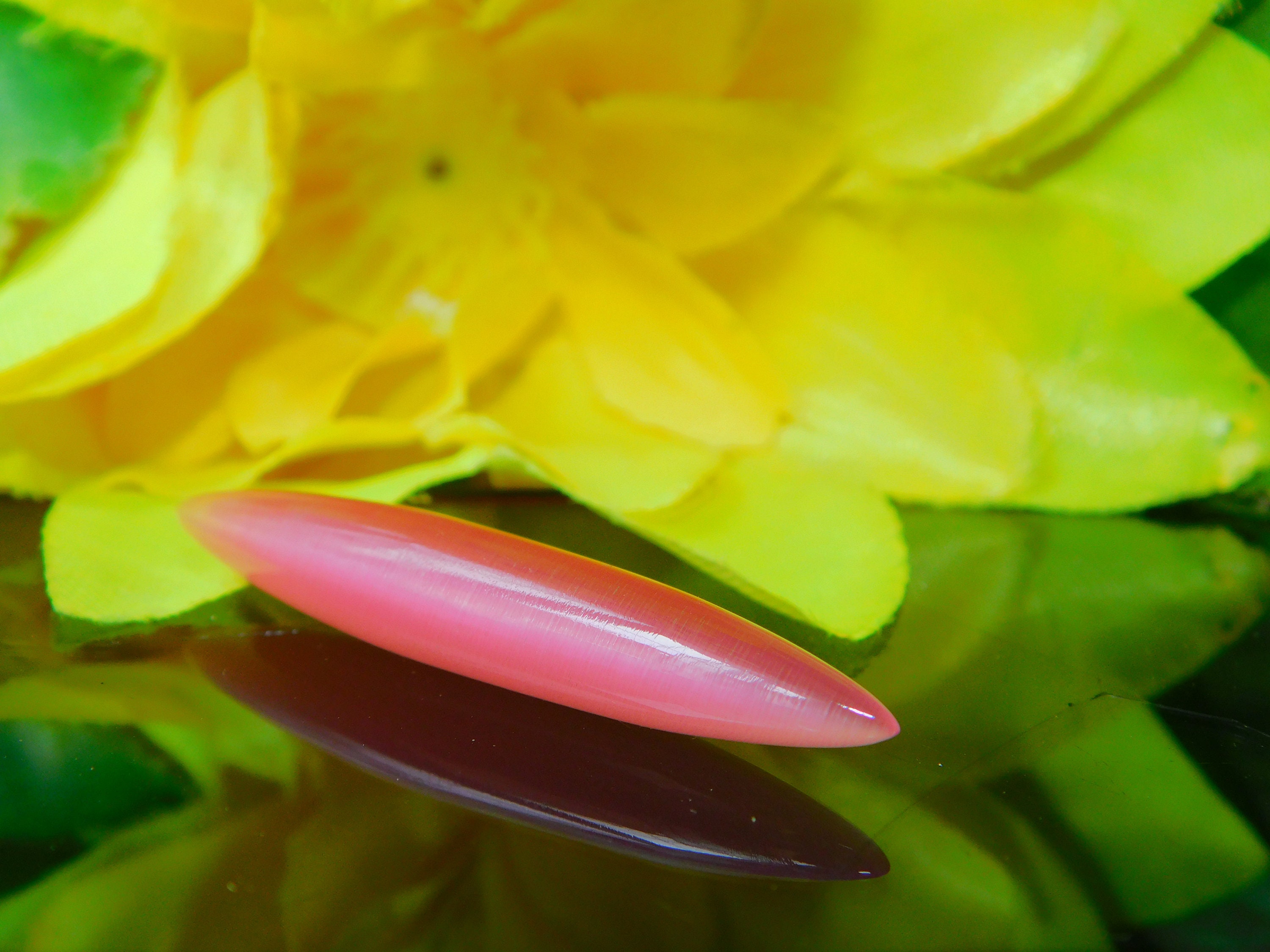 Dark Pink Cats Eye Septum Spiketusk Tribal Septum Septum - Etsy