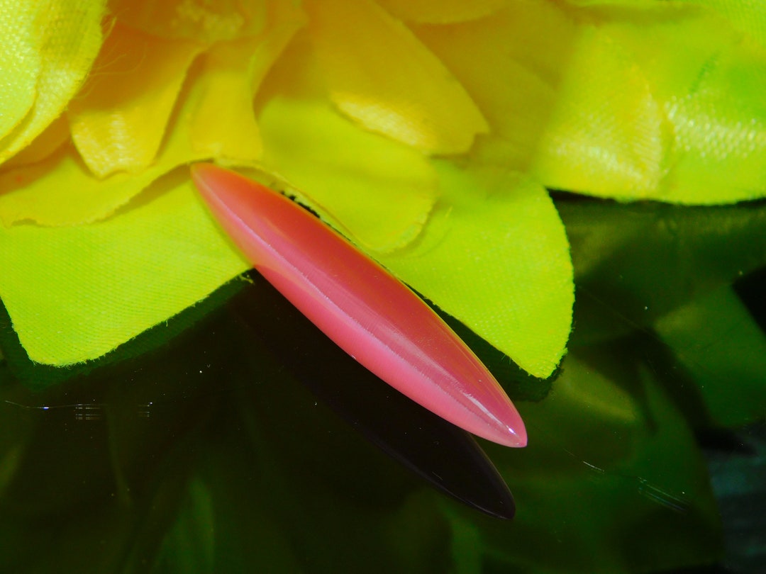 Dark Pink Cats Eye Septum Spike,tusk , Tribal Septum, Septum Pincher ...