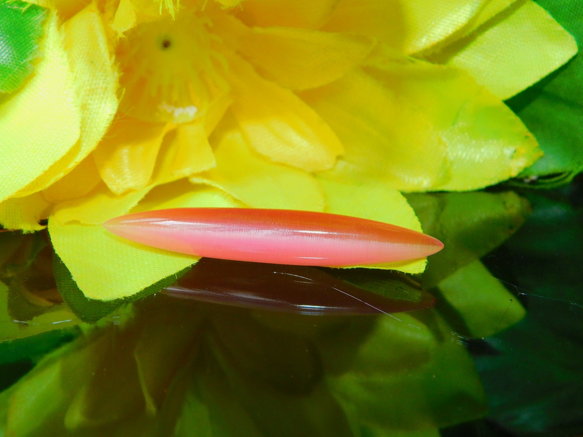 Dark Pink Cats Eye Septum Spiketusk Tribal Septum Septum - Etsy