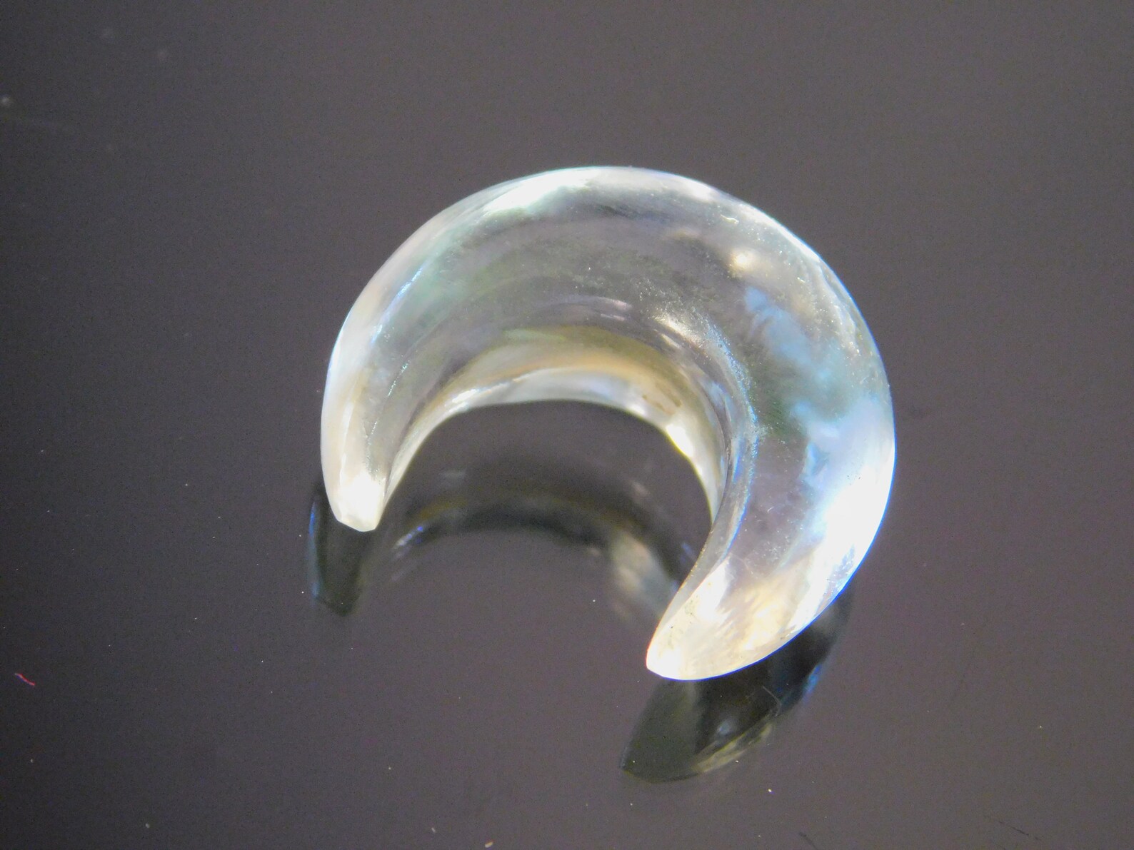 Stone Pinchers Septum Tusk Handmde Gauges Septum Spike - Etsy