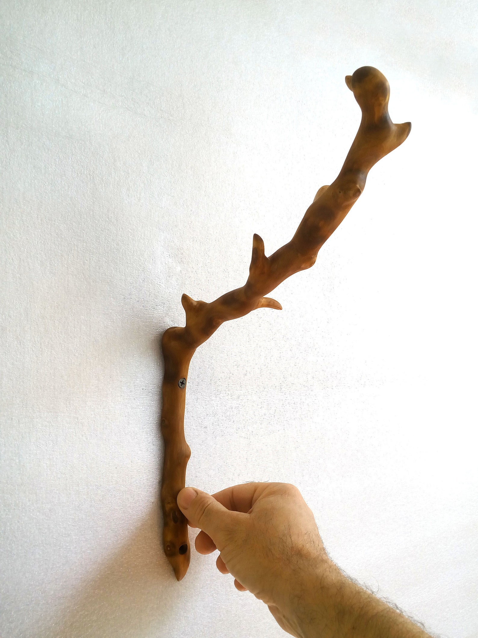 Unique Tree Branch Wall Hook for Hanging Light Rustic Hook | Etsy