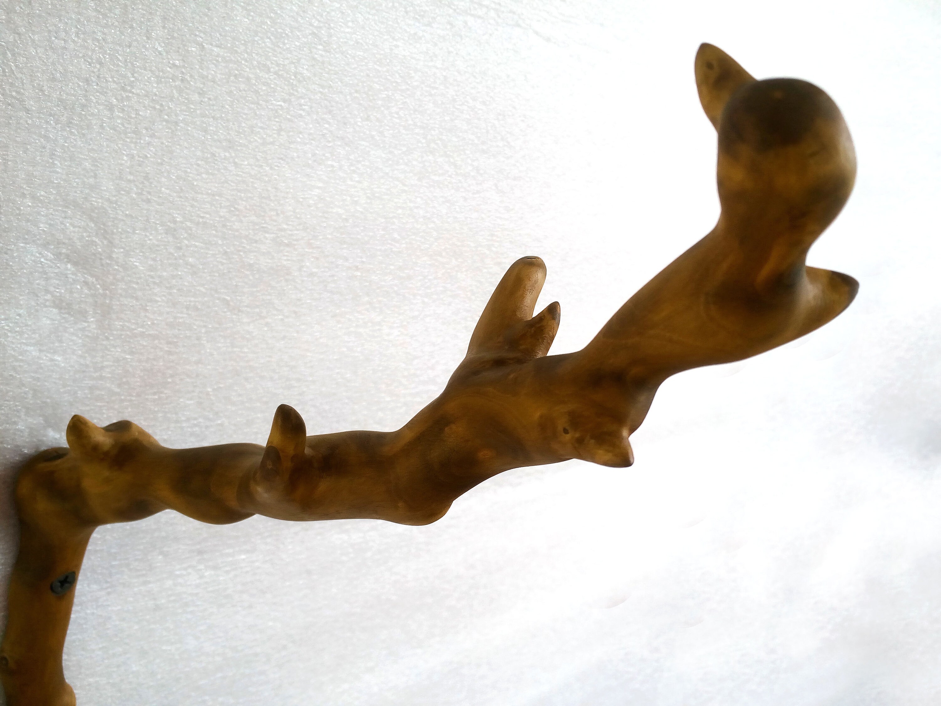 Unique Tree Branch Wall Hook for Hanging Light Rustic Hook | Etsy