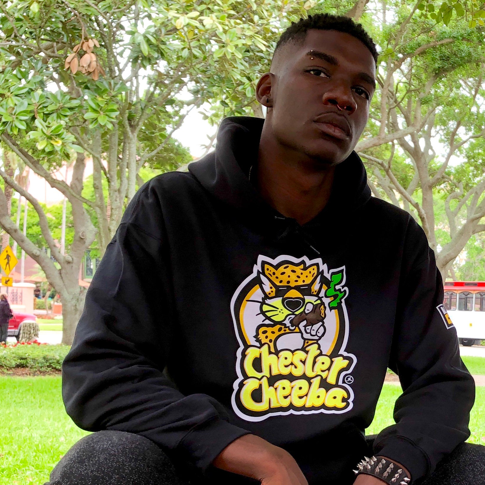 Cheetos Chester Cheeba Cannabis Marijuana Blunt Weed Hoodie - Etsy