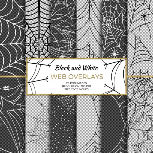 Black Spider Web Crown With Black Rhinestones Halloween - Etsy