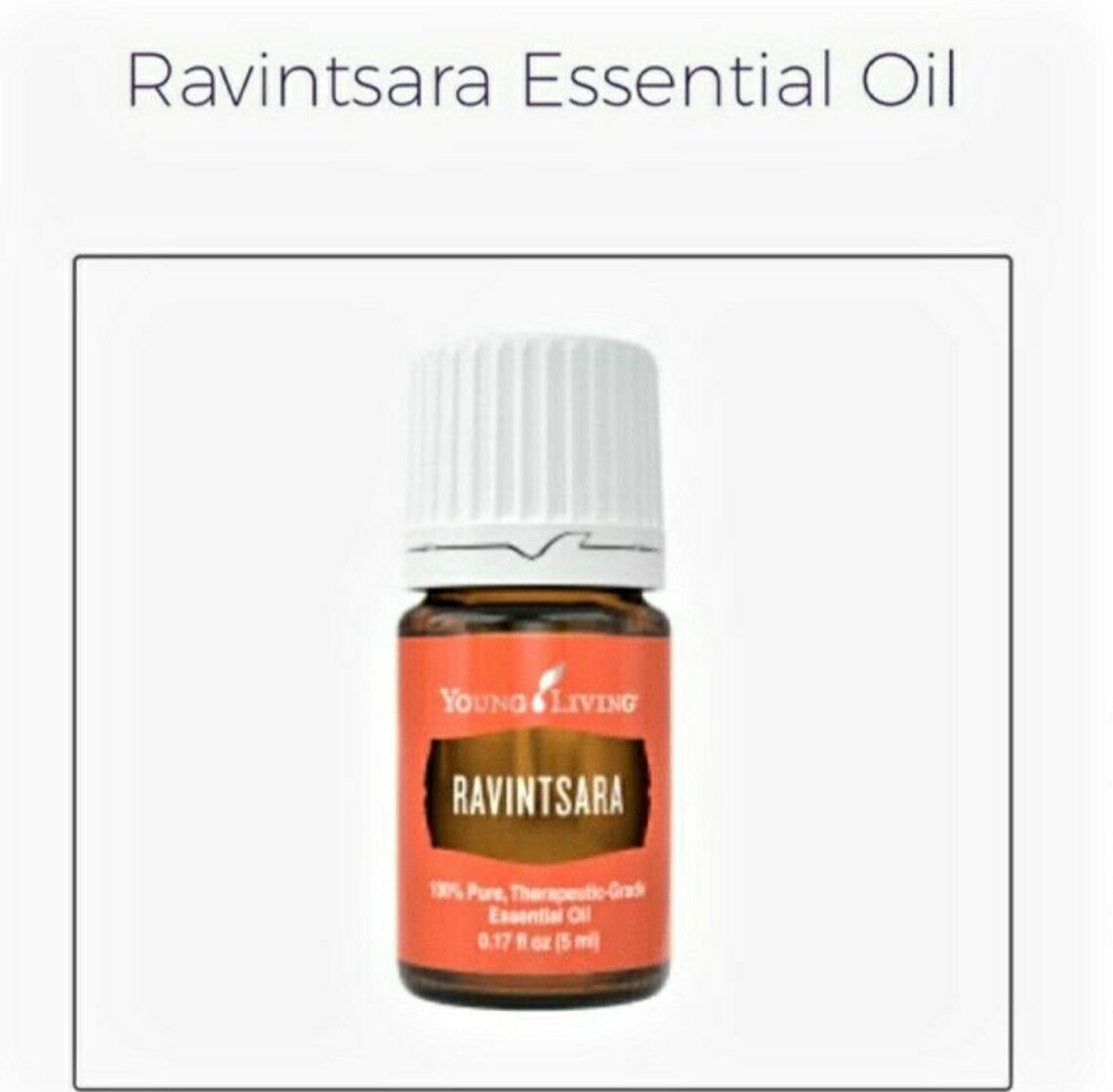Ravintsara Young Living Essential Oil Blend 5 Ml - Etsy